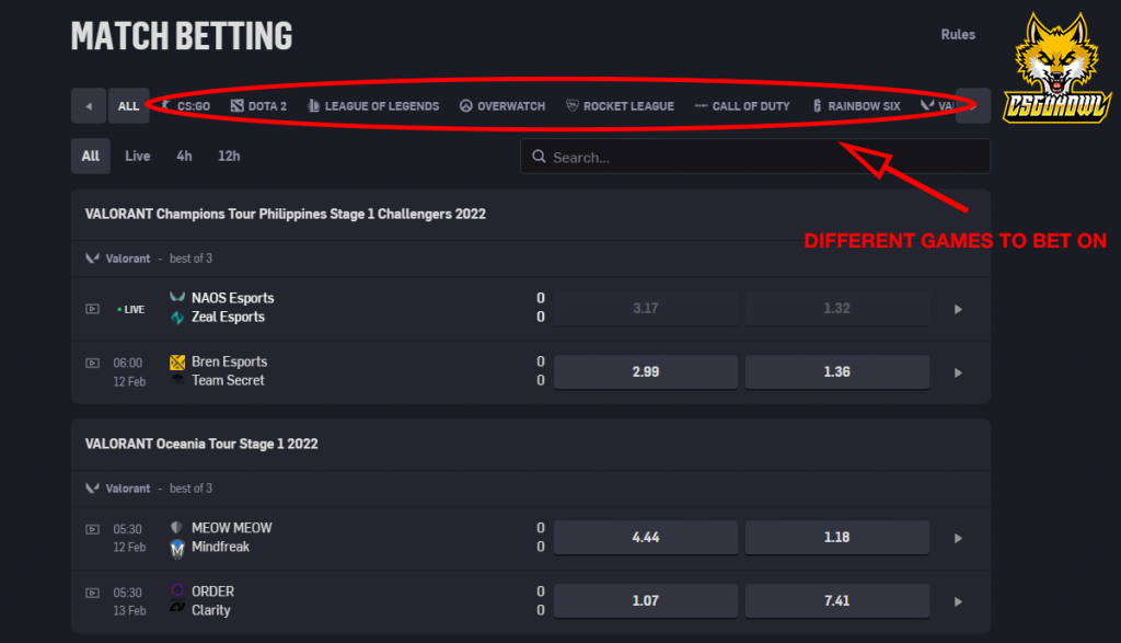 Best CSGO & CS2 Gambling Sites for 2025 | CSGOHowl